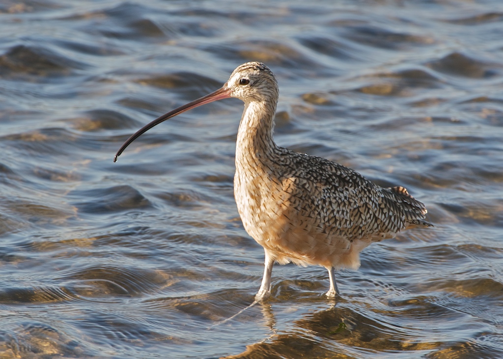 Graphics Research Group: Home Page