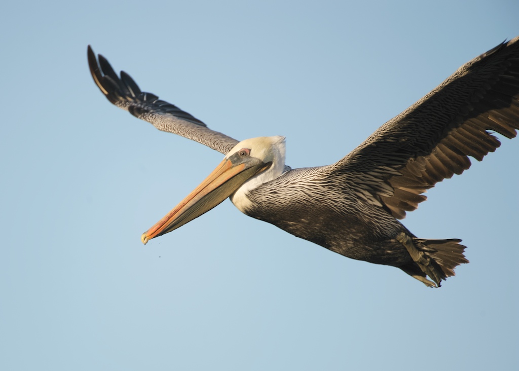 Graphics Research Group: Home Page